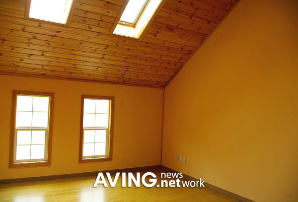 Chamion to present interior paint emitting negative ions