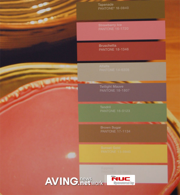 [IHS 2007 Visual Focus] 2008 Color Trend(7) - Agrestic