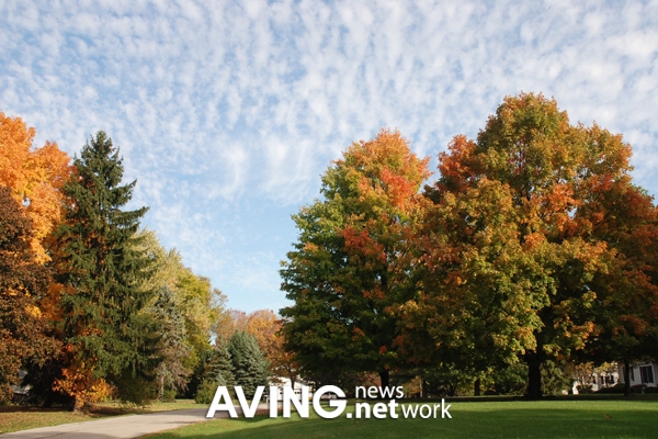 [Visual Tour] Discover the beauty of Ohio fall foliage