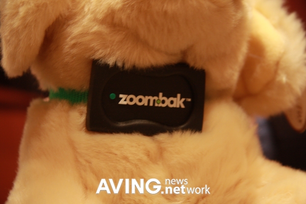 'Zoombak GPS Recovery' to pinpoint the exact location of stolen vehicles