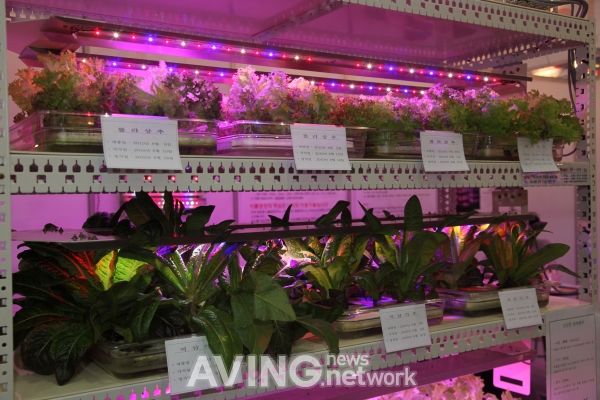 [L&D2010 Field Covering] Low cost, Highly efficient Korean standard LED ...