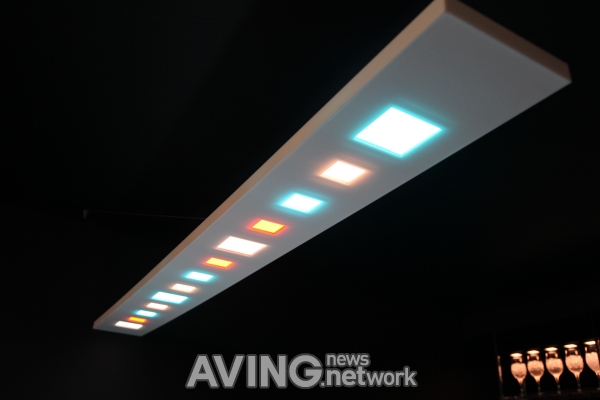 [CEATEC2010-Visual Talk] KANEKA, to introduce its OLED bar showroom