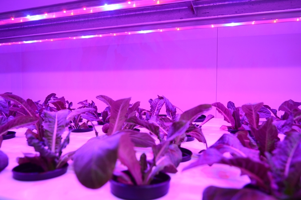 [L&D Korea 2011] Korea Agriculture System & Technology (KAST) to Show ...