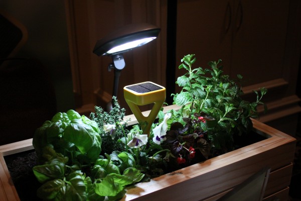 [Digital Experience] Grows Plants Smart with Edyn Garden Sensor and ...