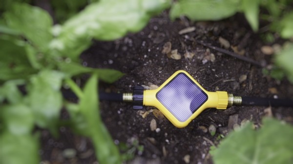 [Digital Experience] Grows Plants Smart with Edyn Garden Sensor and ...