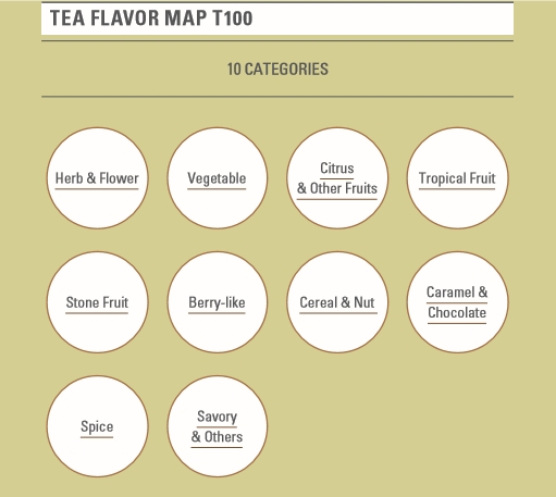 [Made In Korea] Scentone Tea Flavor Map T100 Officially Sold Worldwide