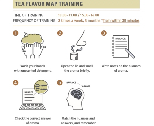 [Made In Korea] Scentone Tea Flavor Map T100 Officially Sold Worldwide