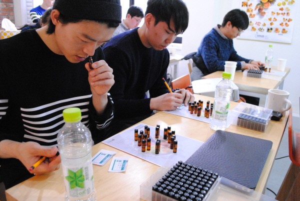 [Made In Korea] Scentone Tea Flavor Map T100 Officially Sold Worldwide