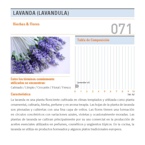 [Made in Korea] SCENTONE Coffee Flavor Map T100 Launched Spanish Version