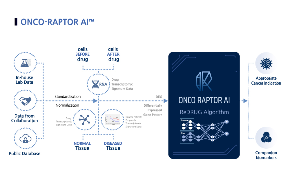 Onocross to Introduce ‘RAPTOR AI’, an AI Platform that Predicts the ...