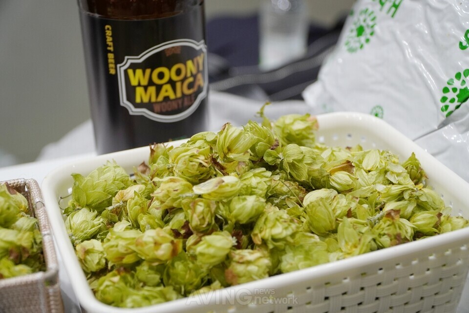[DRINK SEOUL 2023] Hongcheon Hops Agricultural Cooperative (K-Hops ...