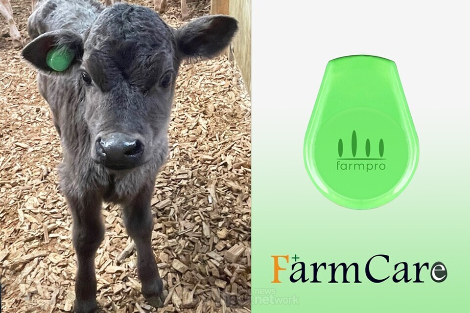 FarmPro Unveils SaaS Solution and Smart Artificial Insemination Device to Reduce Animal Diseases ...