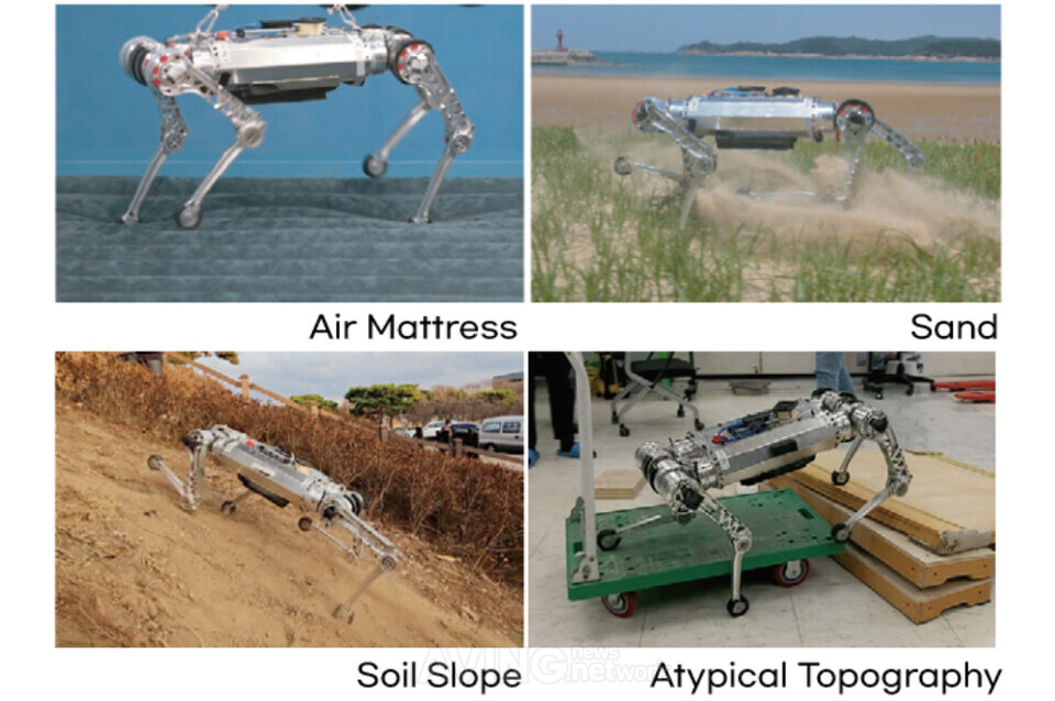 RAION Robotics to unveil quadruped robot ‘Raibo 2’ at CES 2025: "Aiming ...