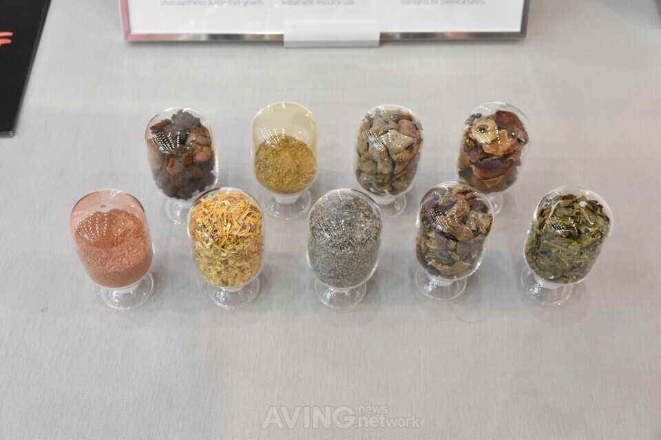 GREENWEAR Showcases Biomass Dyeing at 2025 Gyeonggi-do ClimateTech ...