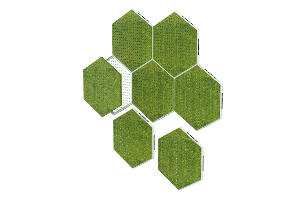 [Pangyo Interview] Taiga Inc. revives nature in the city: Leading ...