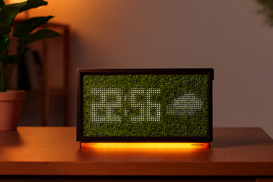 [Pangyo Interview] Taiga Inc. revives nature in the city: Leading ...