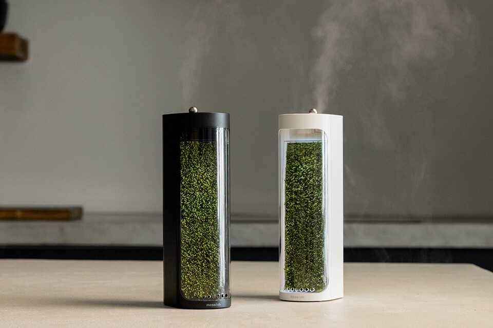 [Pangyo Interview] Taiga Inc. revives nature in the city: Leading ...