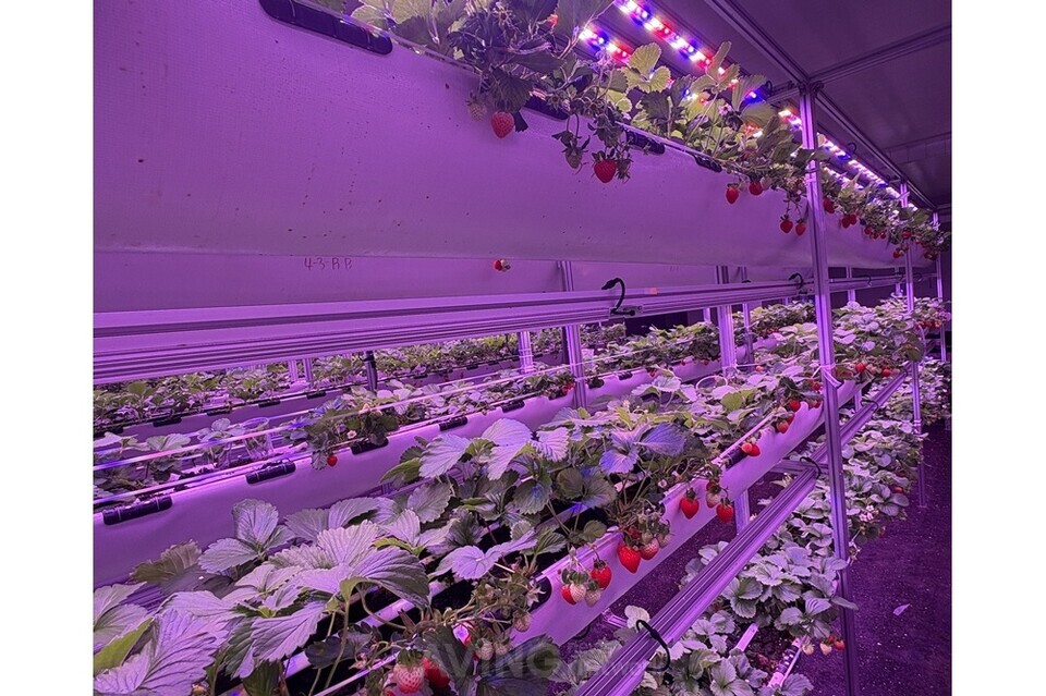 Avalve to showcase AI-powered smart farm solution ‘AIGRI System’ at ...