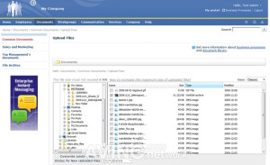 Bitrix Unveils The World's First Multi-Platform Virtual Appliance for Social Collaboration and E ...